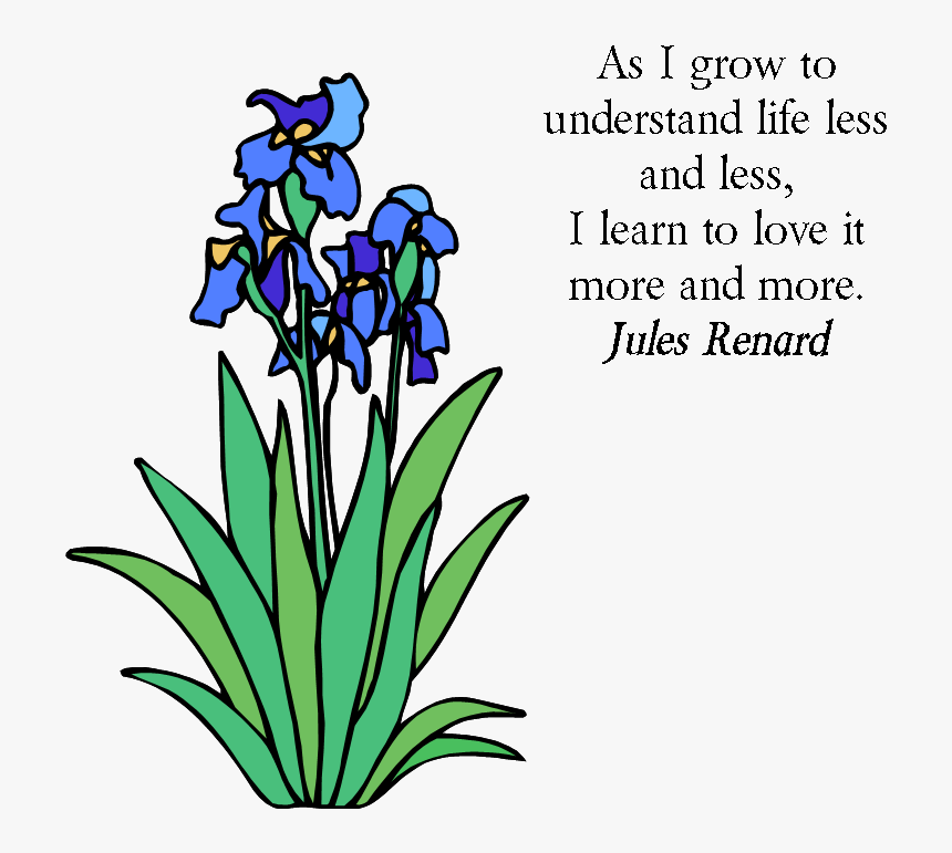 Iris Flower Data Set Clipart , Png Download - Iris Clip Art ...