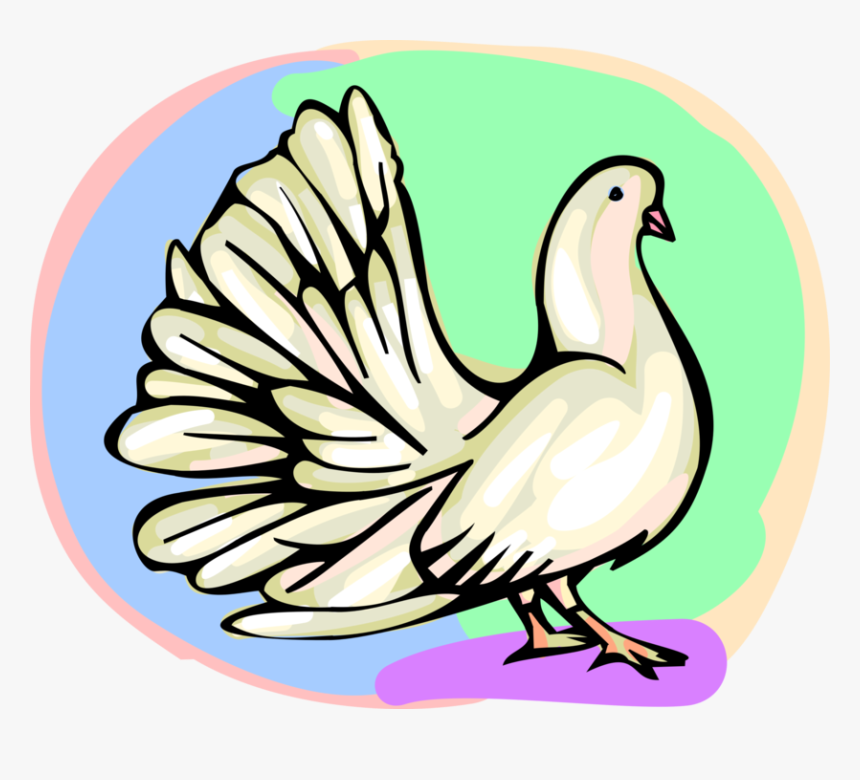 Vector Illustration Of White Dove Bird With Tail Feathers, HD Png ...
