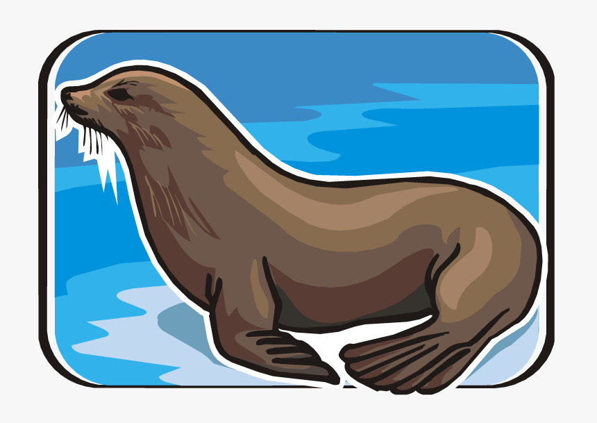 Sea Lion Clip Art - Clip Art, HD Png Download , Transparent Png Image ...