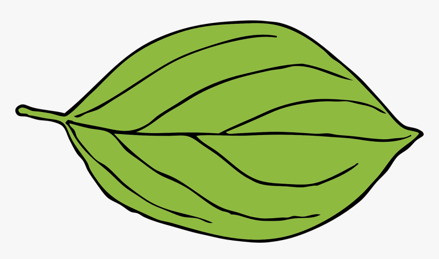 Oblong Objects Clipart