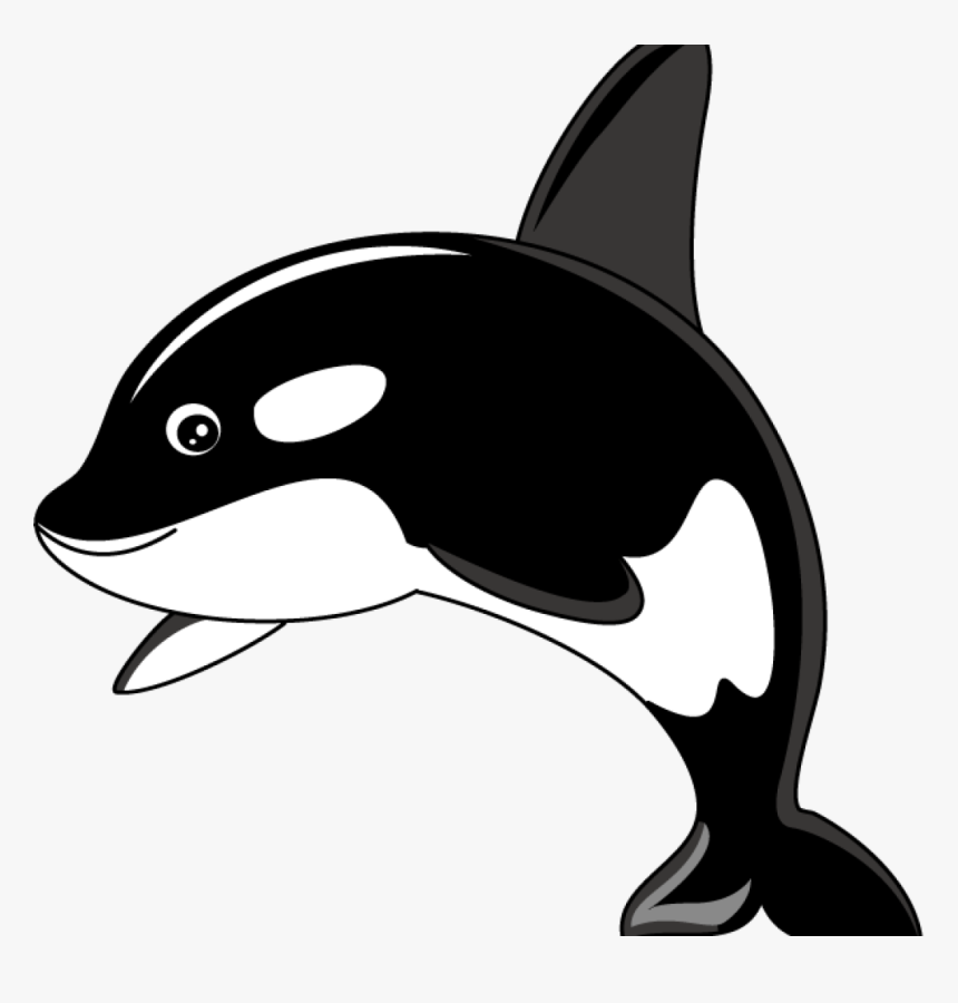 Orca Whale Clipart