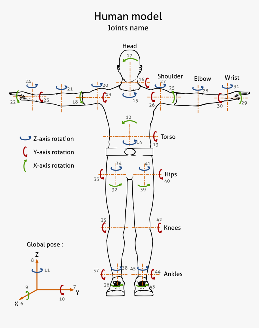 Images/human Joints1 - Human Joints, HD Png Download , Transparent Png ...