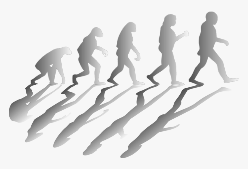 Transparent Evolve Png - Evolucion Png, Png Download , Transparent Png ...