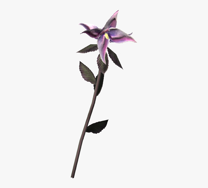 Nightshade - Skyrim Obscurcine, HD Png Download , Transparent Png Image ...