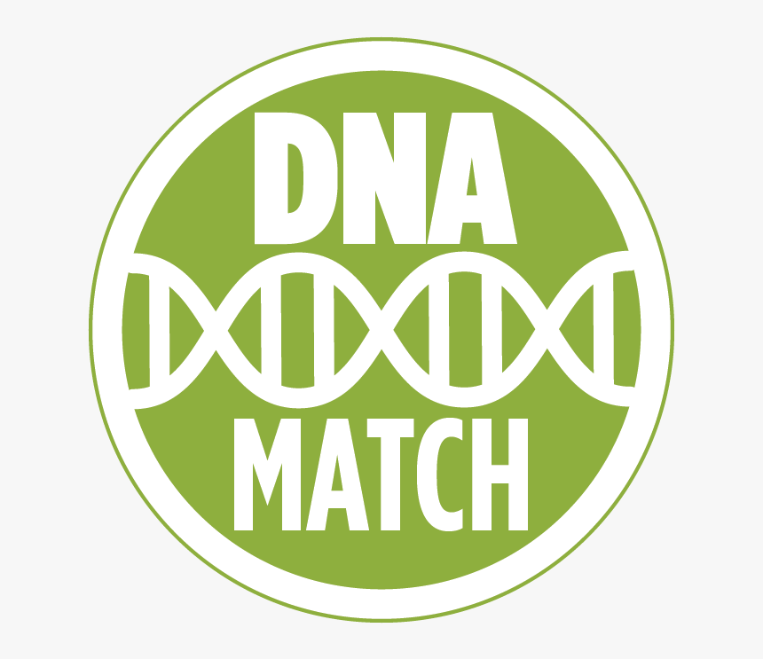 Ancestry Dna Match Icon, HD Png Download , Transparent Png Image - PNGitem