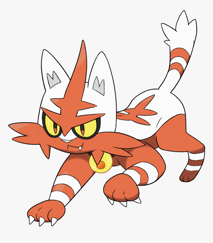 Pokemon Torracat, HD Png Download , Transparent Png Image - PNGitem