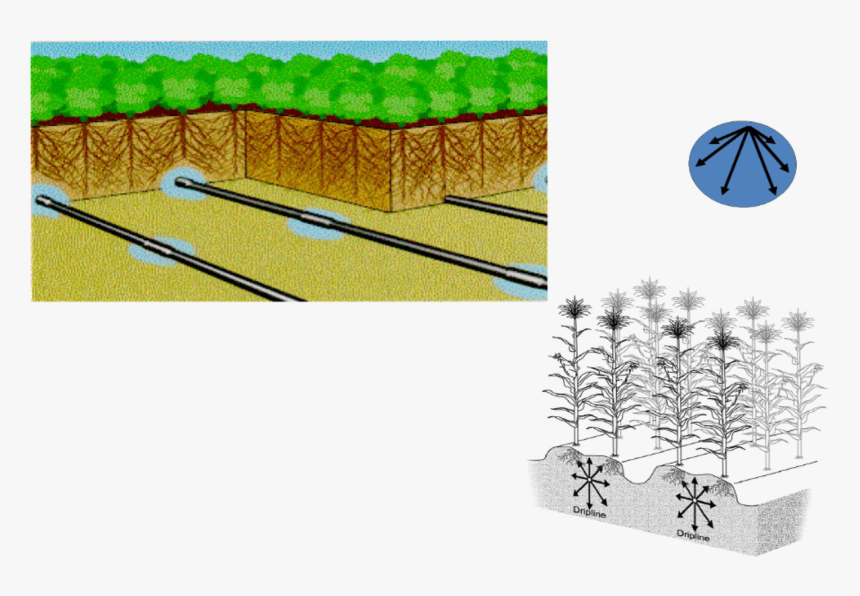 Water Drip Png, Transparent Png , Transparent Png Image - PNGitem