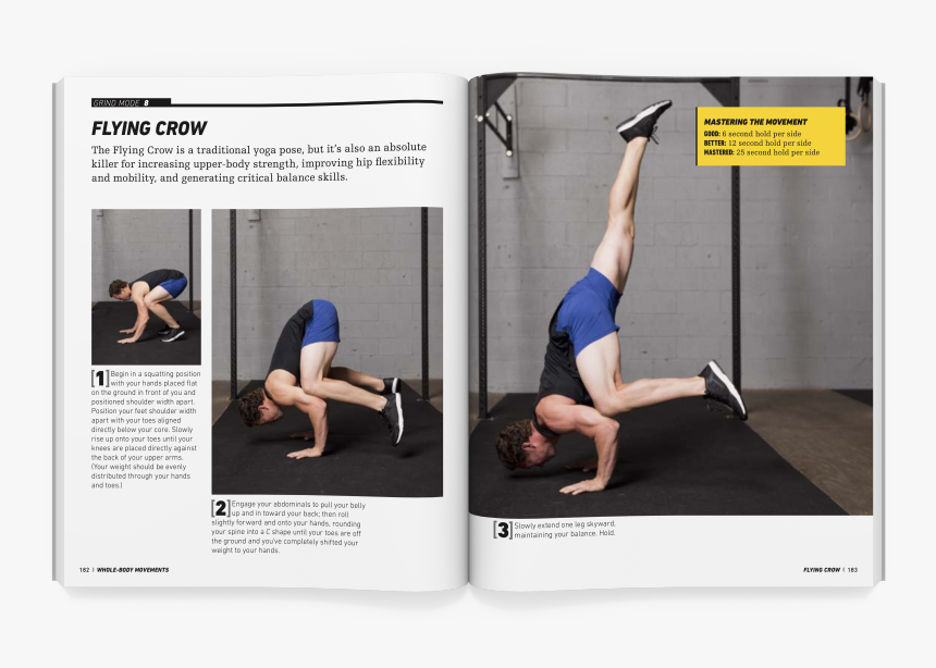 Flying Crow - Press Up, HD Png Download , Transparent Png Image - PNGitem