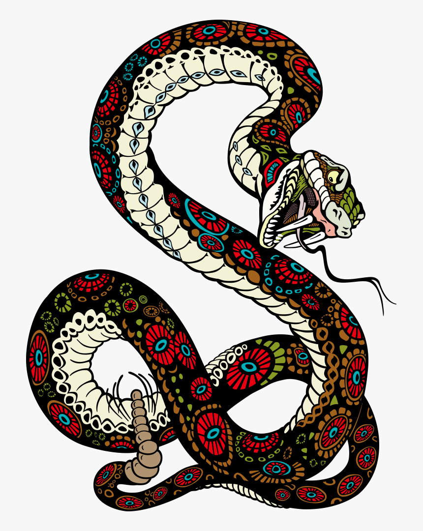 Snake Vector Png, Transparent Png , Transparent Png Image - PNGitem