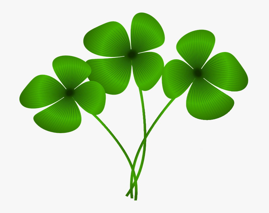 Clover Clipart Good Luck Best Of Luck In Marathi HD Png Download 