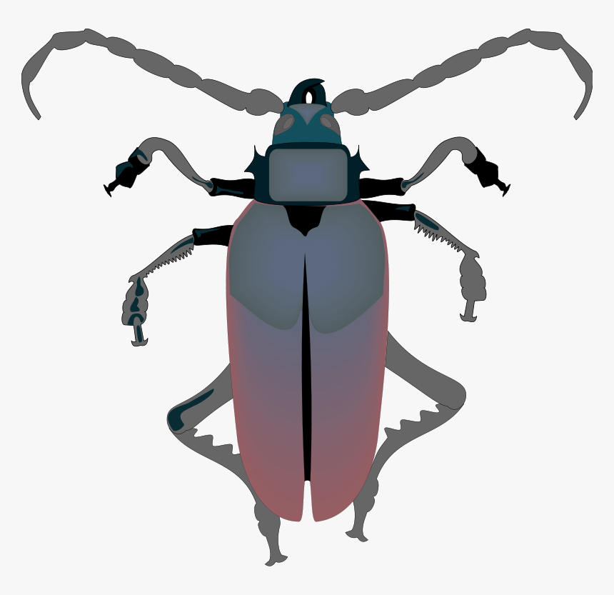 Insect 29 Free Vector - Vector Insect Hd, HD Png Download , Transparent ...