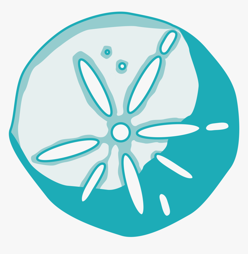 Transparent Sand Dollar Png, Png Download , Transparent Png Image - PNGitem