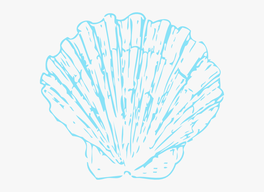 Blue Seashell Clipart Free