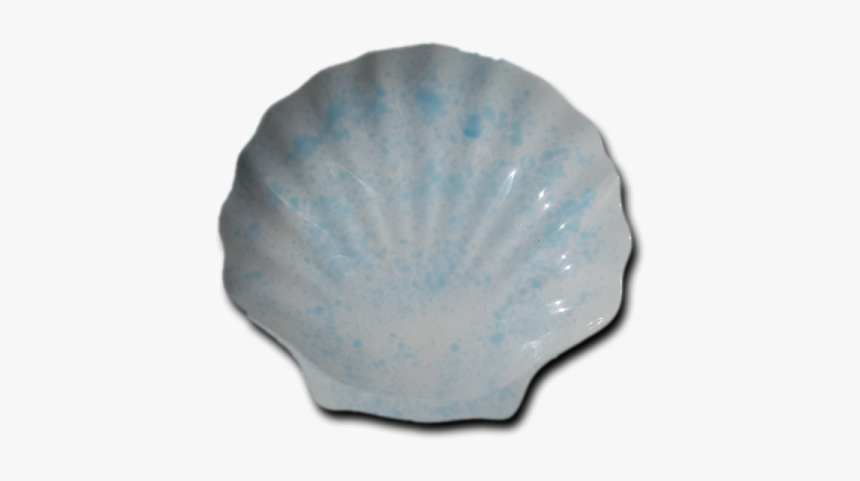 Shell, HD Png Download , Transparent Png Image - PNGitem