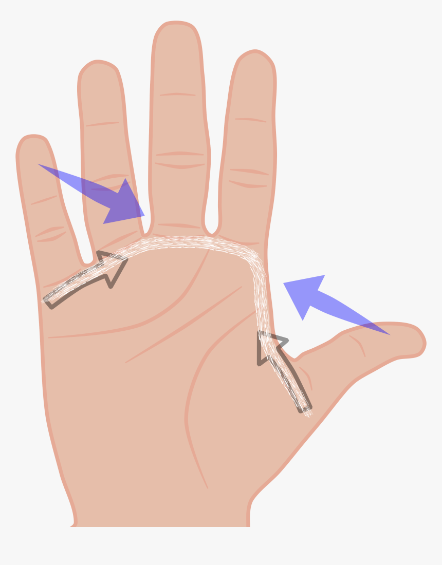 Hand Span Clipart, HD Png Download , Transparent Png Image - PNGitem