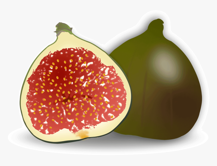 Clip Art Common Fig Accessory Fruit - Fig Clipart, HD Png Download ...