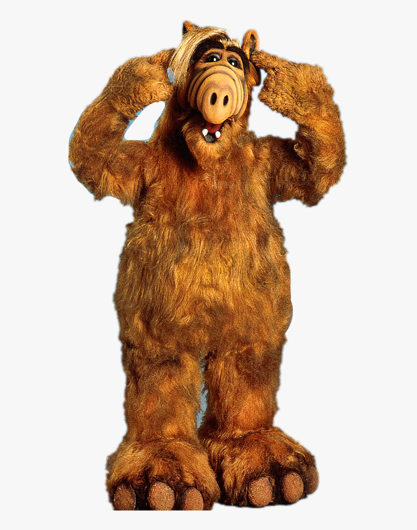 Show Me A Picture Of Alf - Alf 90s Tv Show, HD Png Download ...