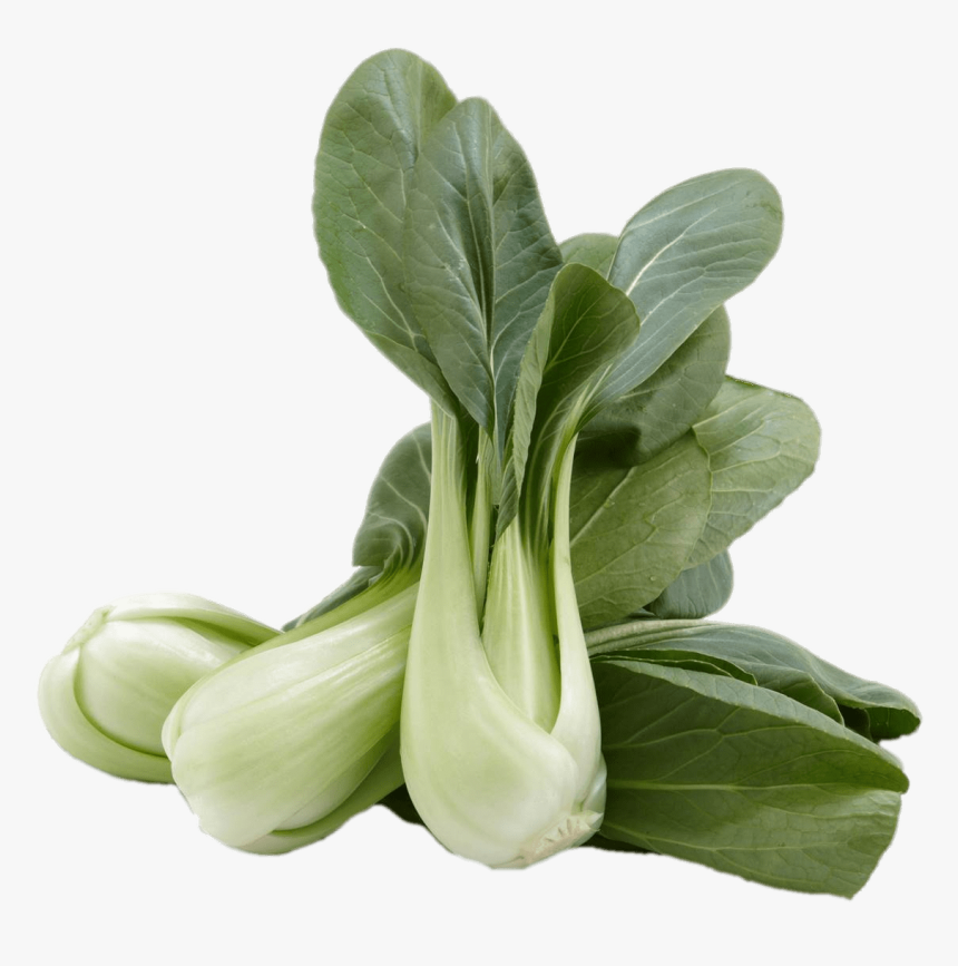 Pak Choy, HD Png Download , Transparent Png Image - PNGitem