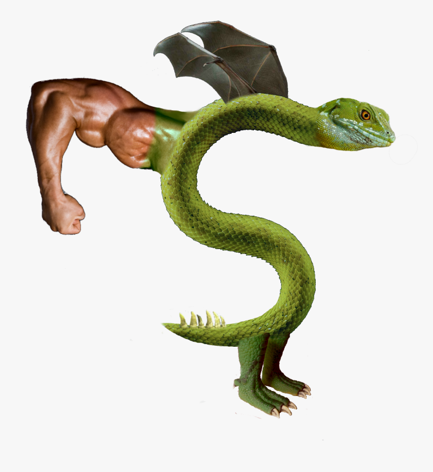 Transparent Trogdor Png - Trogdor Hd, Png Download , Transparent Png ...