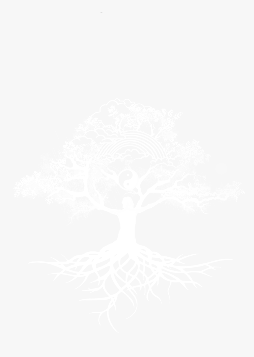 Plan White, HD Png Download , Transparent Png Image - PNGitem