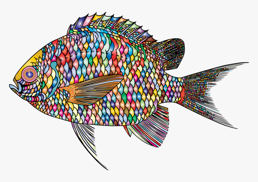 Fish, Animal, Ocean, Underwater, Abstract, Colorful - Illustration, HD ...