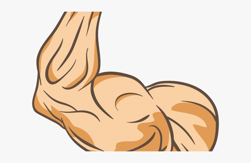 Muscle Arms Png, Transparent Png , Transparent Png Image - PNGitem