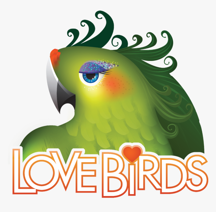 Lovebird Design On T Shirts, HD Png Download , Transparent Png Image - PNGitem