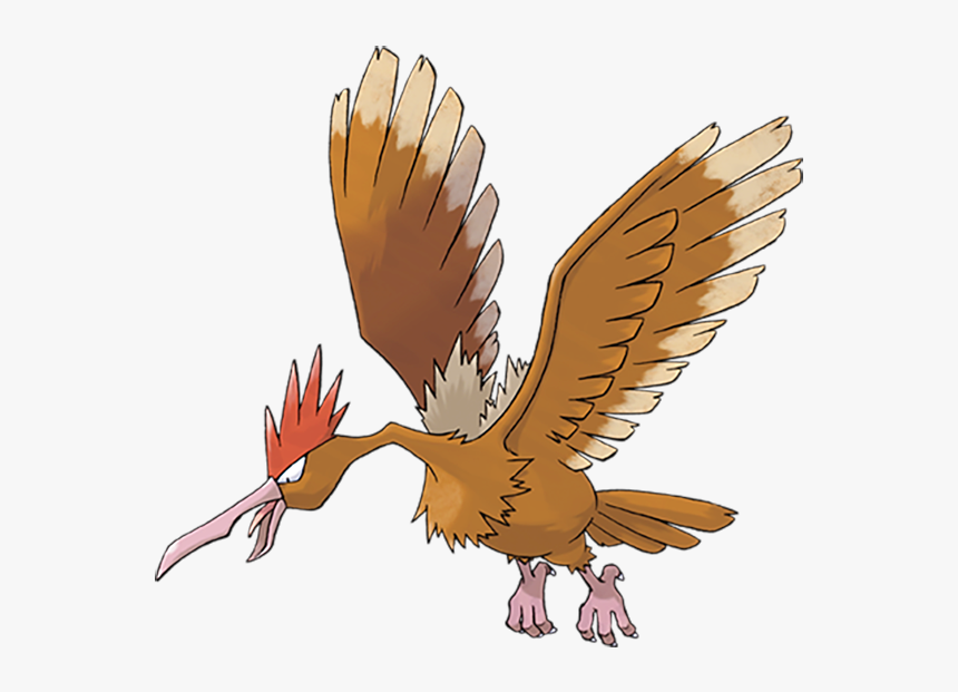 Fearow Pokemon, HD Png Download , Transparent Png Image - PNGitem