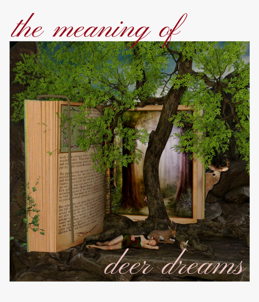 Quotes Reading Books In A Tree, HD Png Download , Transparent Png Image ...