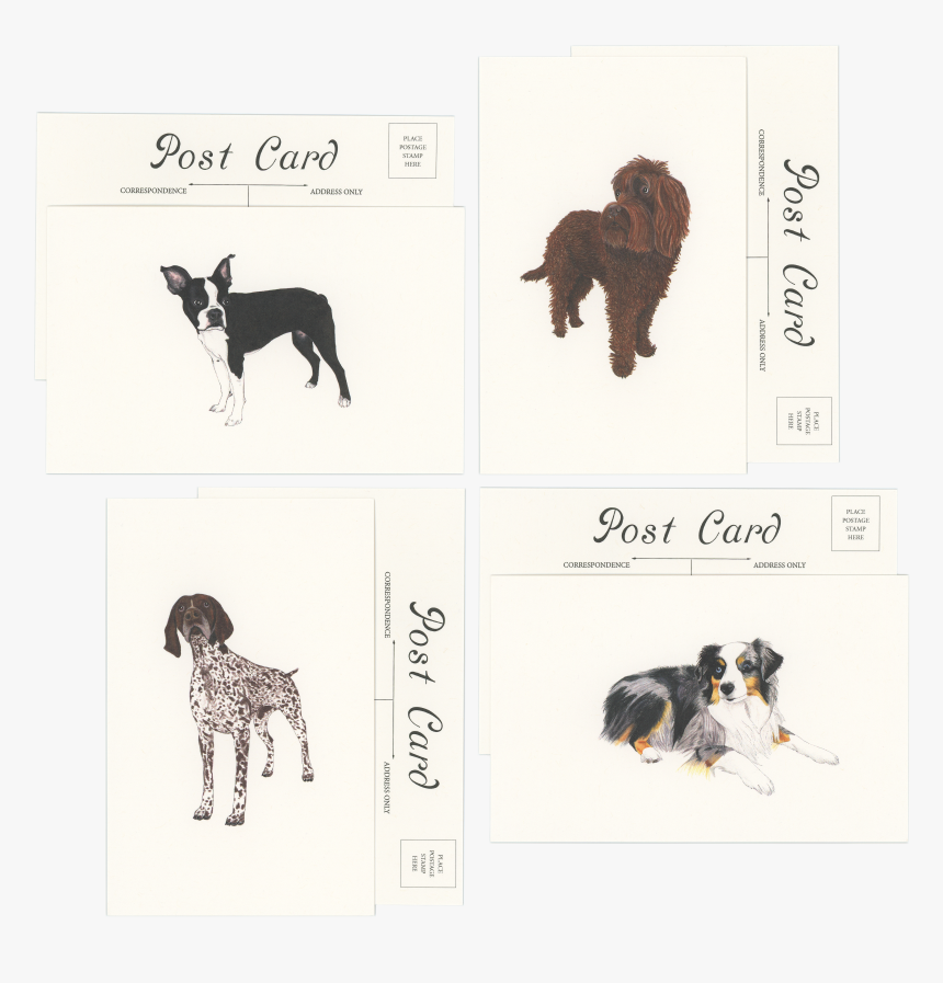 Transparent Postcard Stamp Png, Png Download , Transparent Png Image ...