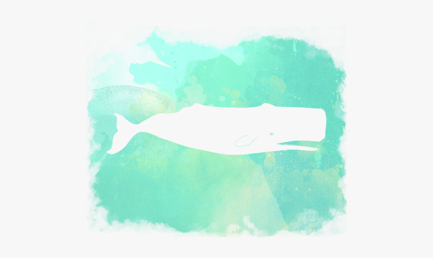 Beluga Whale, HD Png Download , Transparent Png Image - PNGitem