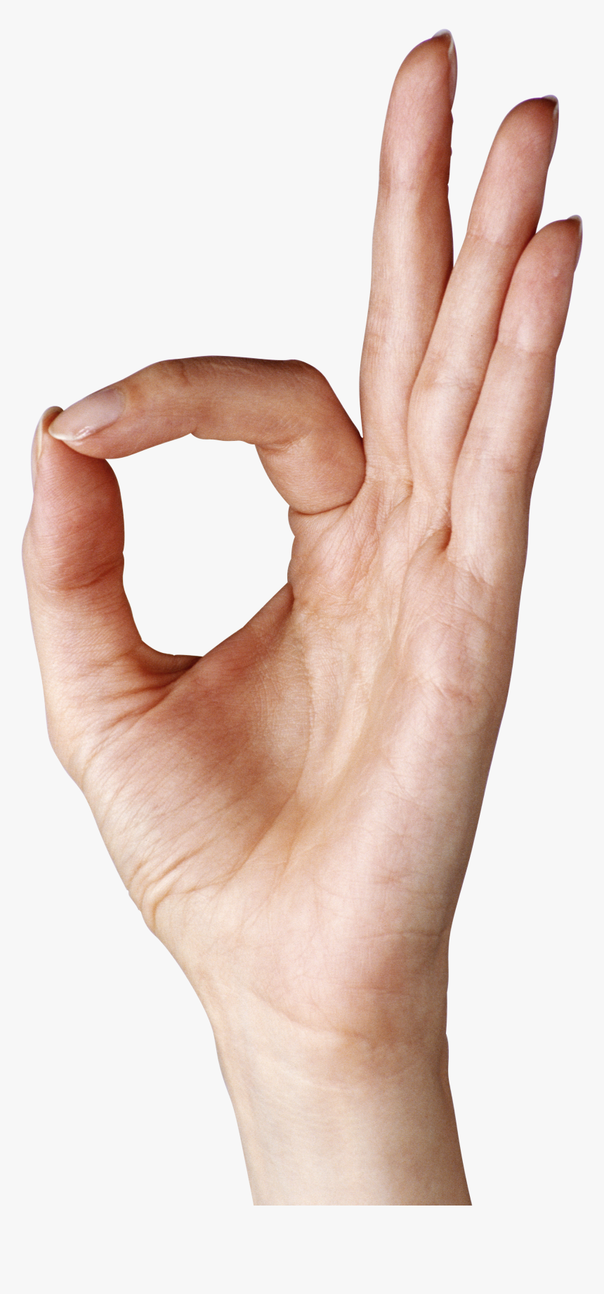 Clip Art Clip Art Showing Png - Ok Sign Transparent Background, Png ...