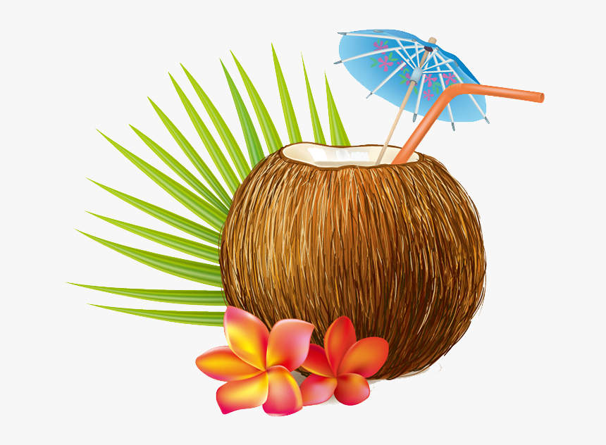 Summer Coconut Vector, HD Png Download , Transparent Png Image - PNGitem
