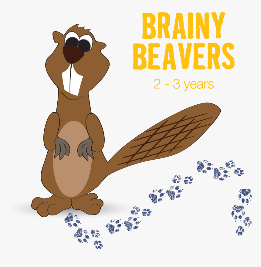 Brainy Beavers Wait List Registration - Cartoon, HD Png Download ...