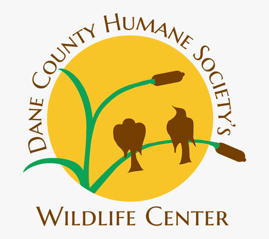 Centerview Partners, HD Png Download , Transparent Png Image - PNGitem