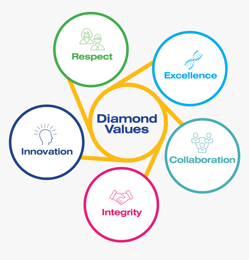 Values Graphic Final - Circle, HD Png Download , Transparent Png Image ...