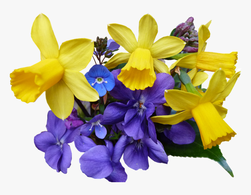 Spring, Flowers, Cut, Out - Spring Flowers Png Transparent, Png ...