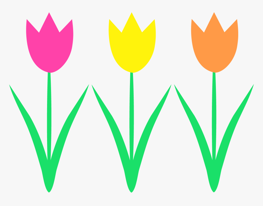 Transparent Spring Clipart - Tulip Flower Clip Art, HD Png Download ...