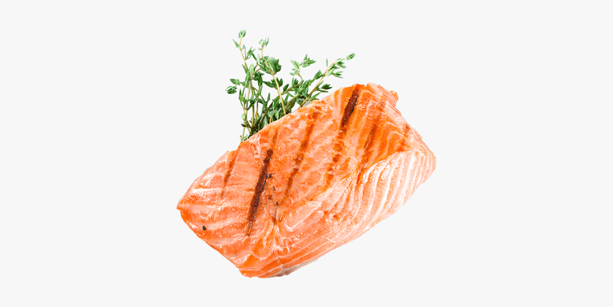 Grilled Salmon White Background, HD Png Download , Transparent Png ...