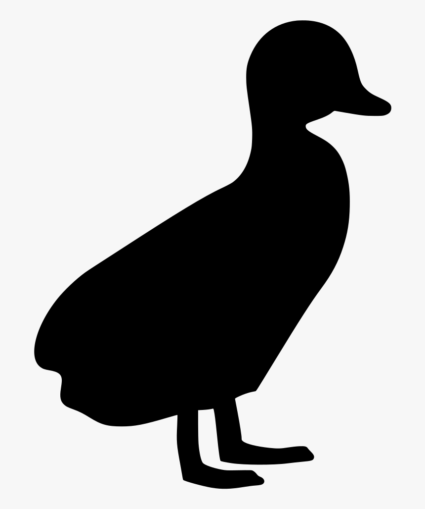Duckling Silhouette