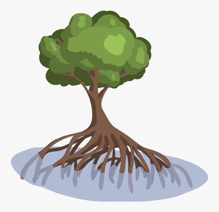 Bakawan Tree Drawing