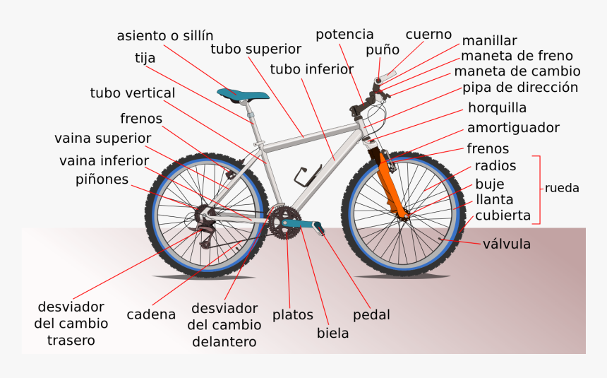 Anatomy Of A Mtb, HD Png Download , Transparent Png Image - PNGitem