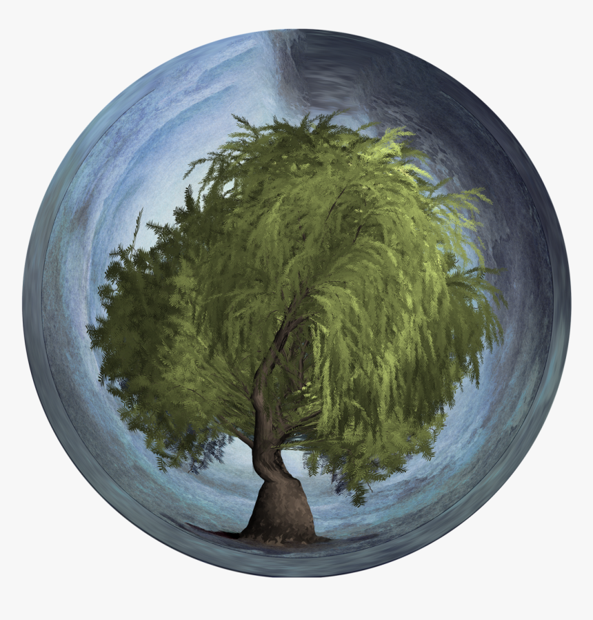 Arbor Day, Tree, Orb, Weeping, Willow, Earth, Sphere - Tree In An Orb ...