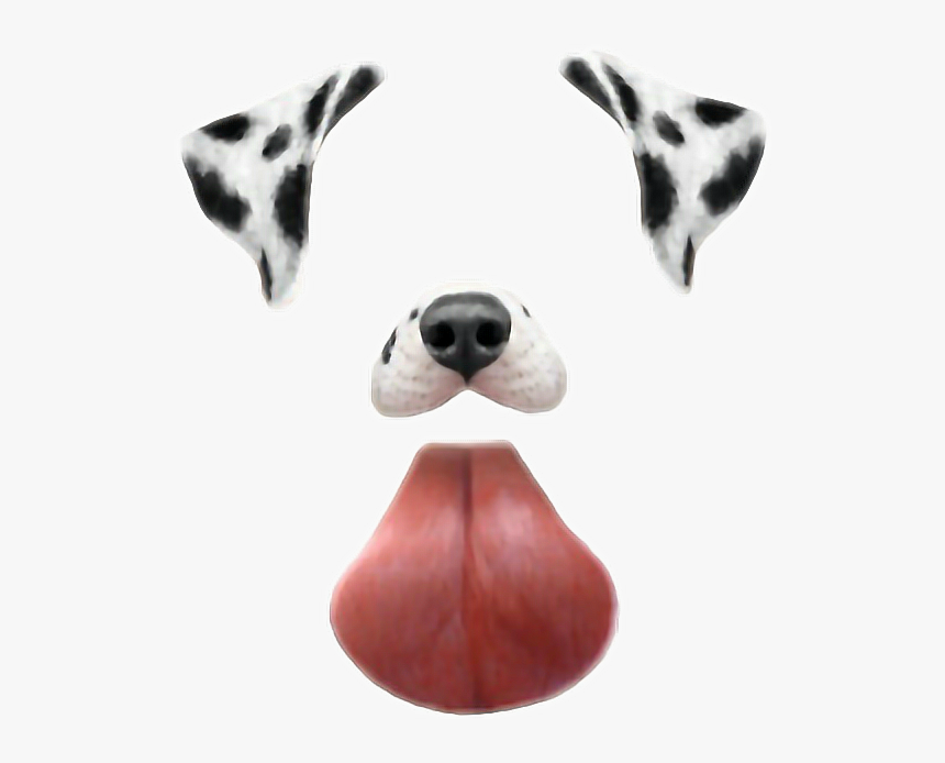 How Do You Get The Dog Face On Snapchat