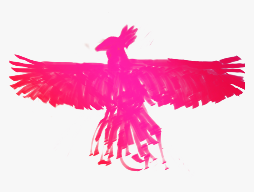 #red #pink #bird #outline #feathers #birdpink - Eagle, HD Png Download ...
