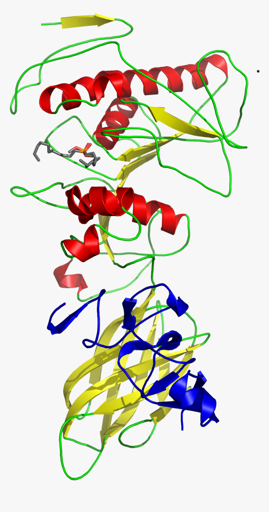 Pancreatic Lipase Colipase Complex With Inhibitor 1lpb - Tertiary ...