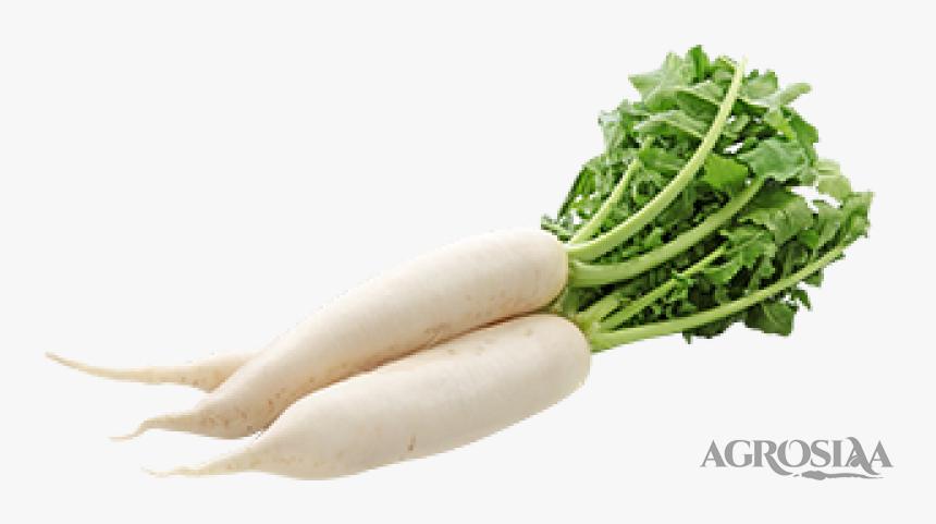 Single Vegetables Images Hd, HD Png Download , Transparent Png Image ...
