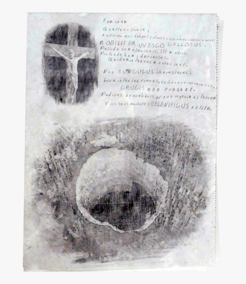 Latinpaperfarket - Forest Latin Paper, HD Png Download , Transparent ...