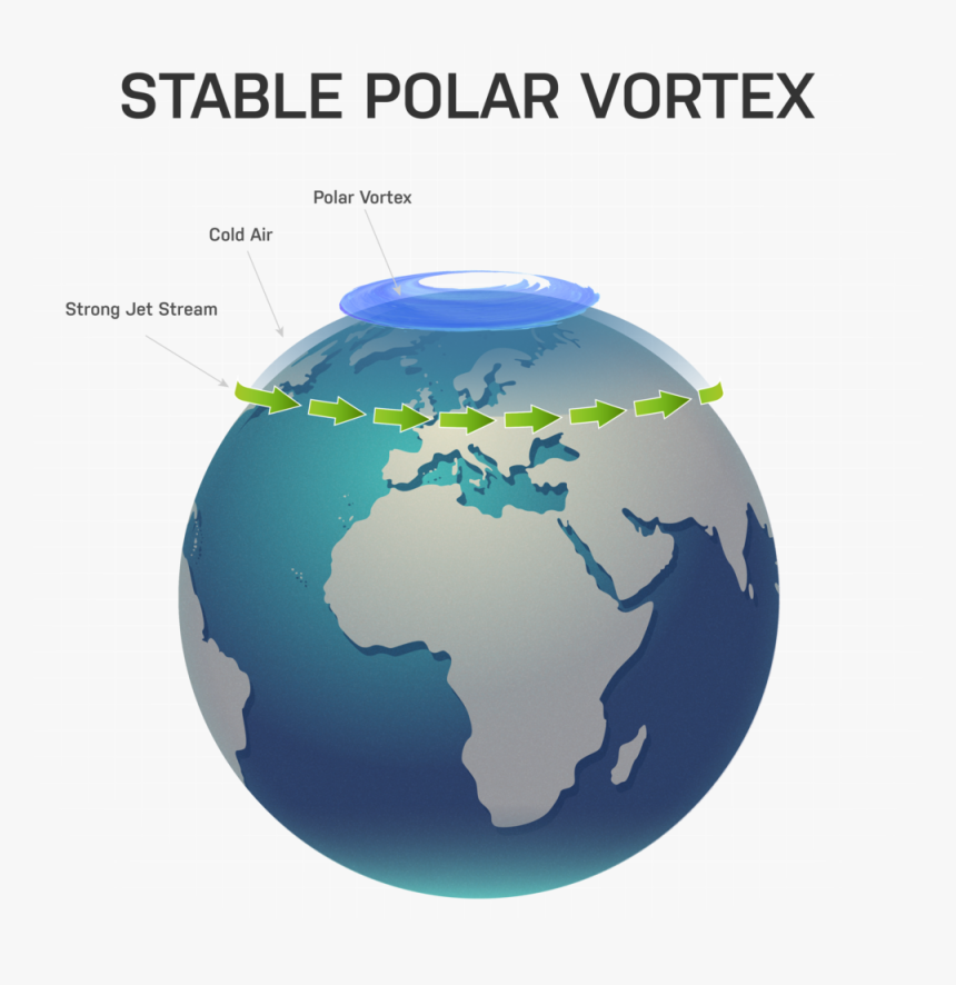 X Polarvortex Stable 1 - Bottlenose Dolphin Map, HD Png Download ...