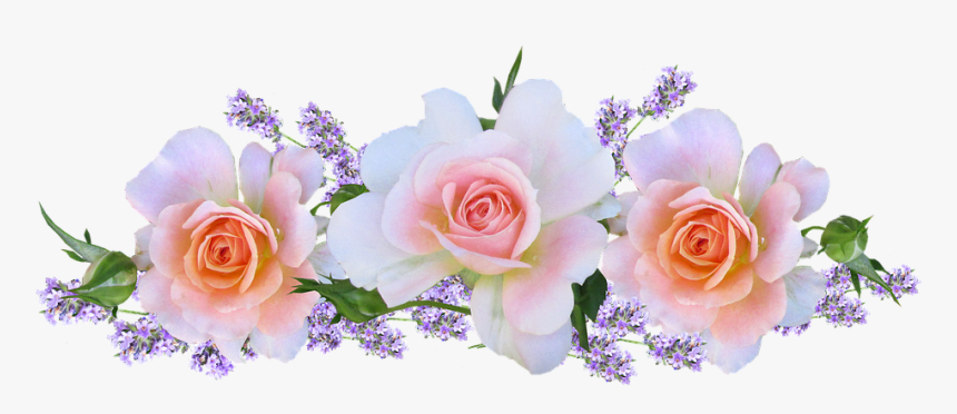Lavender Roses Images - Lavender With Roses Petals Hd, HD Png Download ...